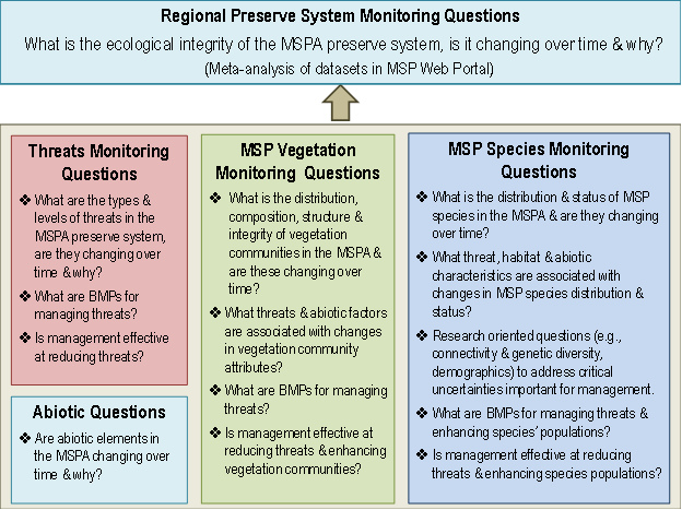 Management Strategic Plan