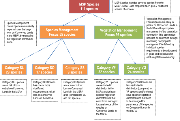 Management Strategic Plan